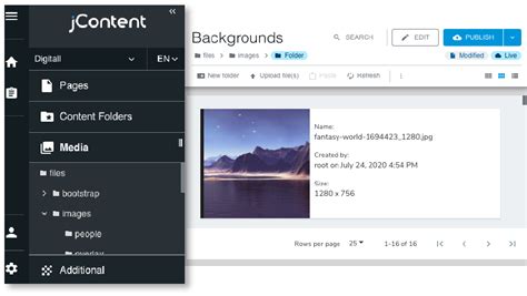 Dam Vs Cms Definitions Differences And Tips