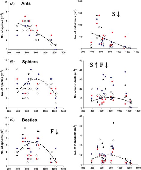 Variation In Species Richness And Abundance Along The Elevational Download Scientific Diagram