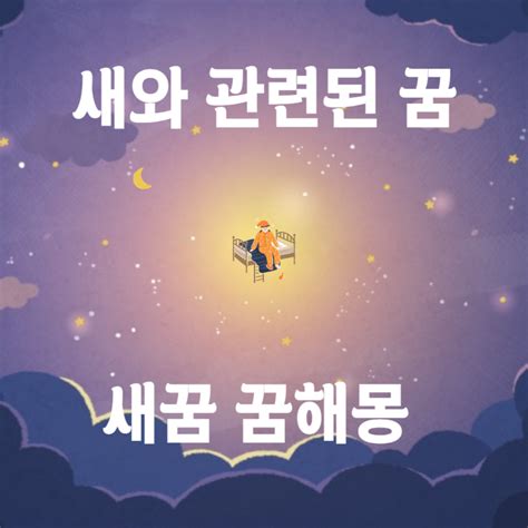 꿈해몽 친척과 성관계하는 꿈 성교하는 꿈 섹스하는 꿈 여성편