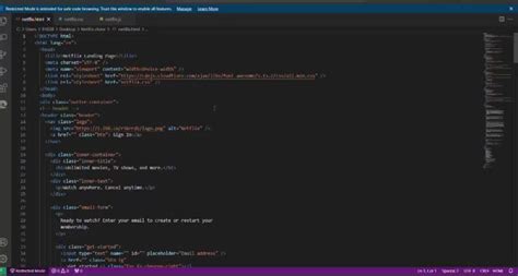 Mehandhiga M On Linkedin Netflixclone Webdevelopment Internship Visualcode