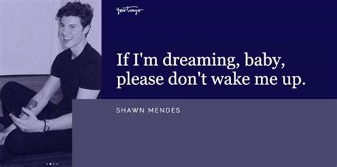 23 Song Lyrics Instagram Posts And Shawn Mendes Quotes That Make Us Fall