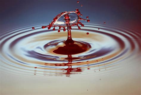 Freeze Frame Photography By Stephen Dalton 31 Photos Pictures