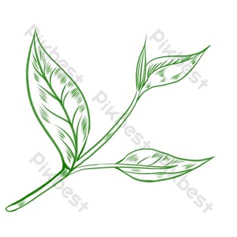 Top 80 녹차 일러스트 Update