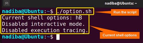 Special Variables In Bash With 9 Practical Examples