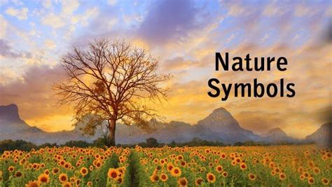Whats Your Your Guide To Symbolic Meanings Of All Kinds