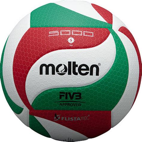 Molten V5m5000 Official Size 5 Volleyball Fivb Approved