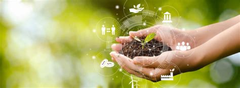 The Current Mass Extinction An Answer May Be In Place