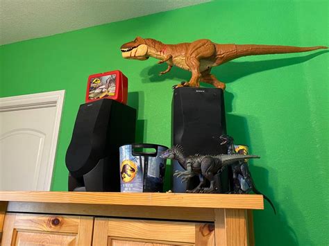 Some More Photos Of Dinosaur Stuff In My Other Room Rdinosaurs