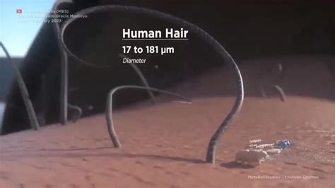 Nidal Essa Posted On Linkedin