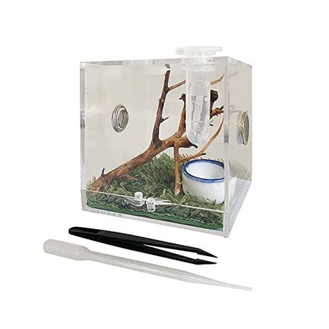 Jobede Jumping Spider Enclosure Jumping Spider Habitat With Dropper Tongs Acrylic Reptile