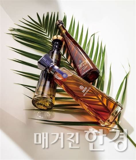 음 테킬라 │ 한경매거진and북