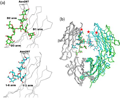 A Structural Comparison Between High Mannose Glycan Pdb Code
