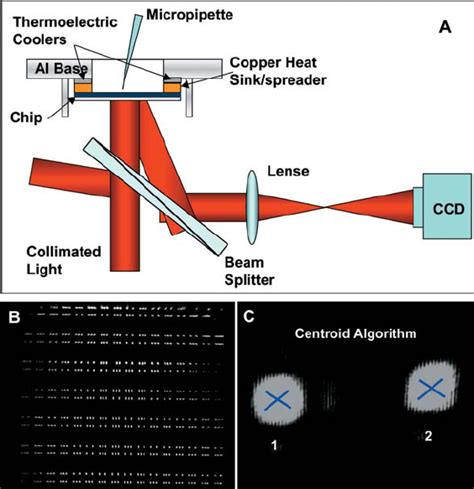 4 Innovative Cantilever Design For Optical Readout Of 2d Array A Download Scientific