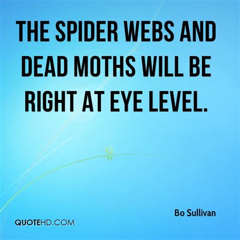 Spider Web Love Quotes Quotesgram