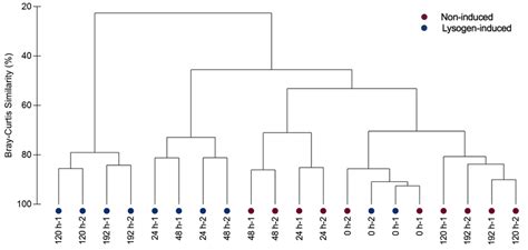 Clustering Of Bacterial Communities From Replicate Samples Over The Download Scientific