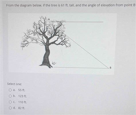 Solved From The Diagram Below If The Tree Is 61 Ft Tall And The