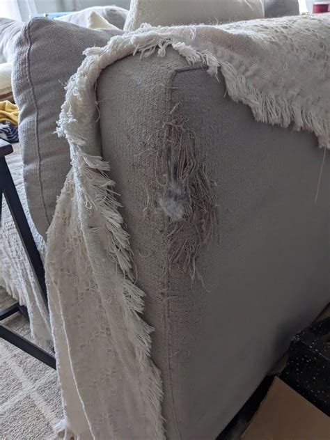 Cats Clawed Up Couch Rupholstery