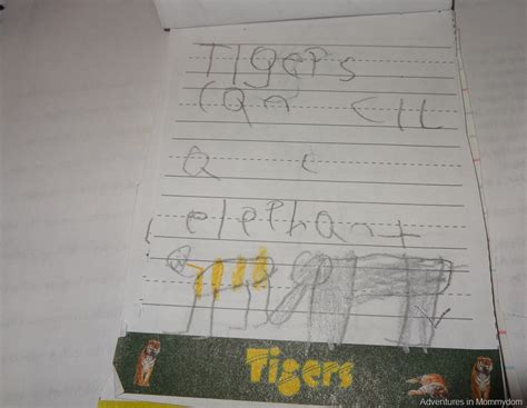 Tigers Lesson Adventures In A Messy Life