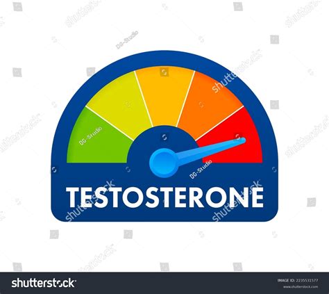 Testosterone Level Metering Scale Sign Tachometer Stock Vector Royalty