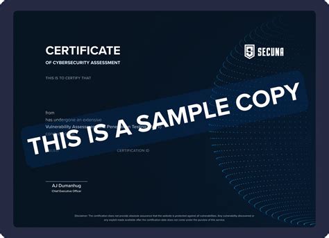 Secuna Pentest Vulnerability Assessment And Penetration Testing