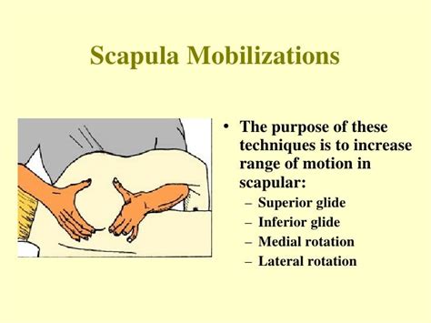 Shoulder Lecture