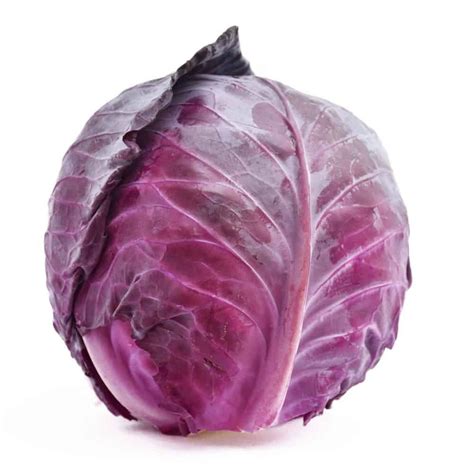 Repolho Roxo Un Horta Do Horto