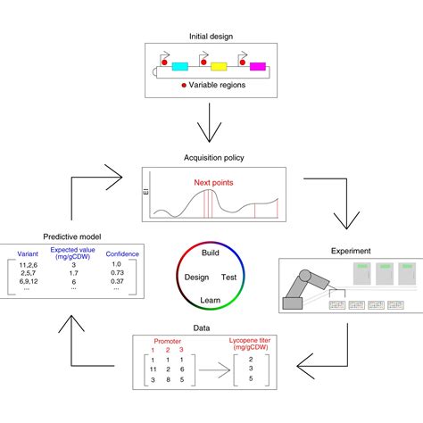 Ibiofab The Illinois Biological Foundry For Advanced Biomanufacturing