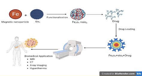 Graphical Demonstration Of Biomedical Application Download Scientific