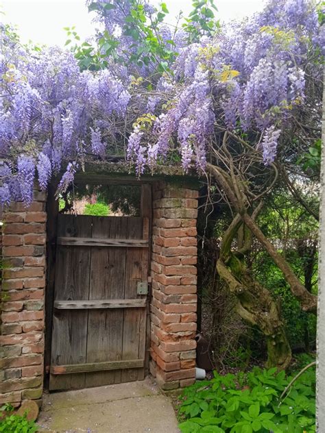 Biljana Savic On Linkedin Ponekad Se Zaljubim U Tačku Iz Svoje Senke Umno Ili 58 Comments