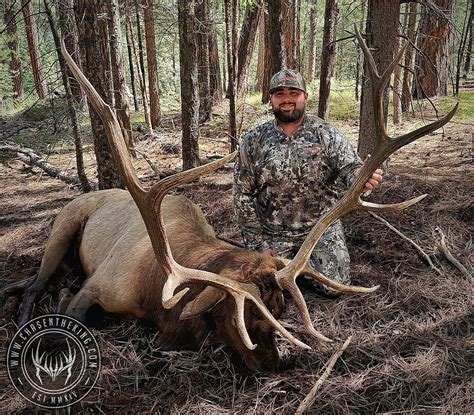 Unit 4a Early Archery Bull Elk Hunt Overview