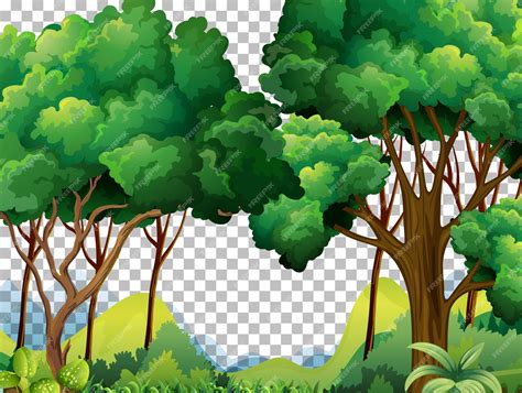 Forest Trees Clip Art