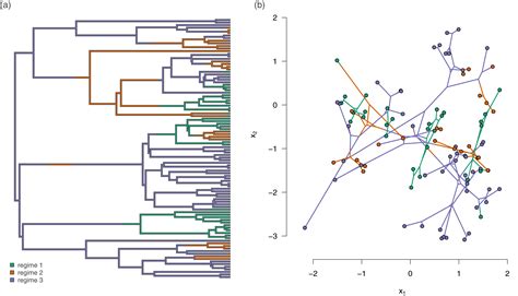 A Simple Hierarchical Model For Heterogeneity In The Evolutionary Correlation On A Phylogenetic