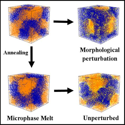 Polymer Crystallization Vol 2 No 6