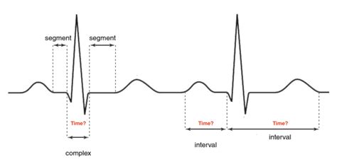 ch 19 heart ecg diagram quizlet