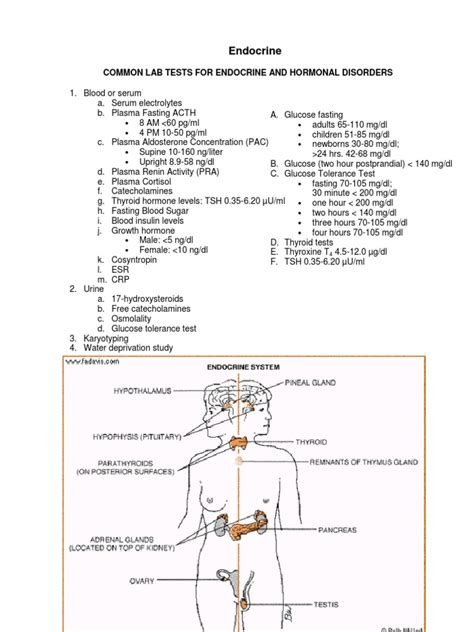 Endocrine Common Lab Tests For Endocrine And Hormonal Disorders Pdf