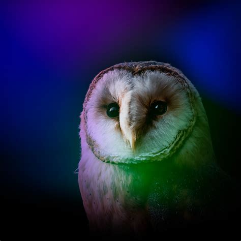 Digital Dictation And Voice Recognition Solutions Speechwrite