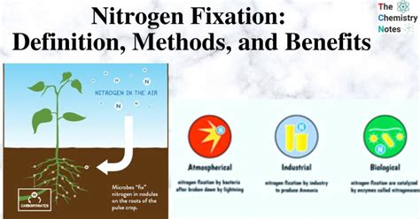 Nitrogen Fixation Definition Methods And Benefits