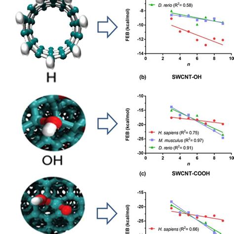 Linear Relationships Between Free Energy Binding Feb In Kcal Mol −1