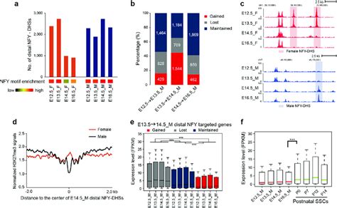 Annotation Of Distal Nfy Dhss In Mouse Mitotic Arrested Male Pgcs A