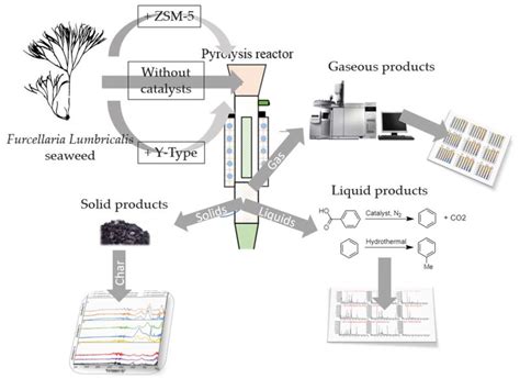 Energies Mdpi On Linkedin Highlycitedpaper Macroalgae Pyrolysis