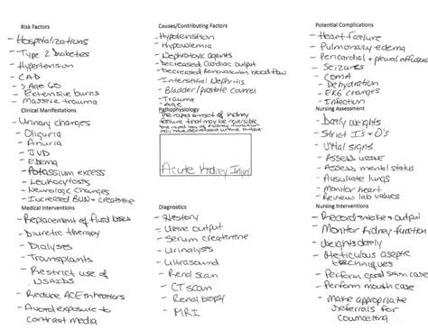 Aki Ckd Concept Maps Risk Factors Complications And Nursing Care