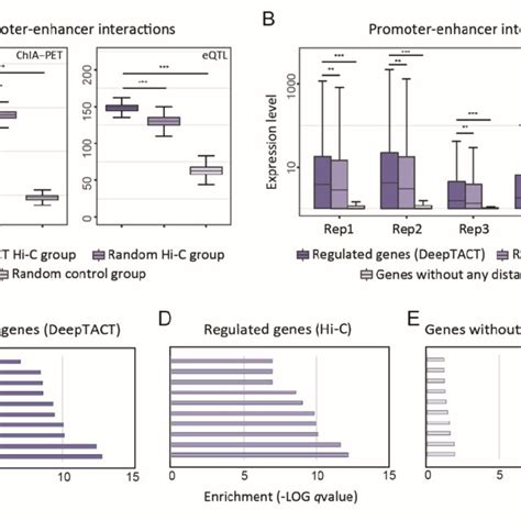 High Resolution Promoter Promoter Interactions Download Scientific