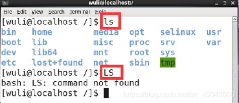 10分钟就能学会，linux操作系统21个shell常用命令 练习常用的 linux shell 命令及命令选项 包括文件目录命令、备份压缩