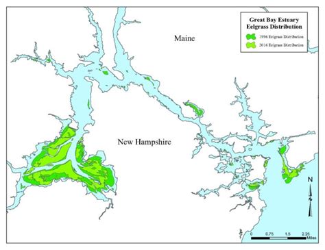 State Of Our Estuaries Indicators Eelgrass