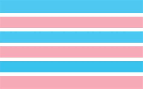 Premium Vector Transsexual Pride Flag Sexual Identity Pride Flag