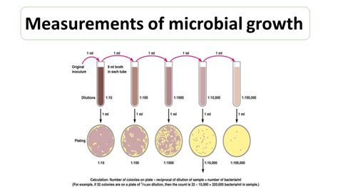 How To Measure Microbial Growth