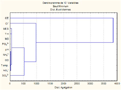 Dendrogramme Visualisant Les Relations Entre Les Variables