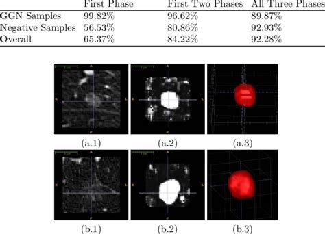 The Multi Level Voxel Scale Classification Accuracy Performance