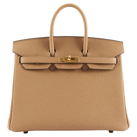 HermÈs Birkin 25cm Chai Togo Leather With Gold Hardware For Sale At 1stdibs