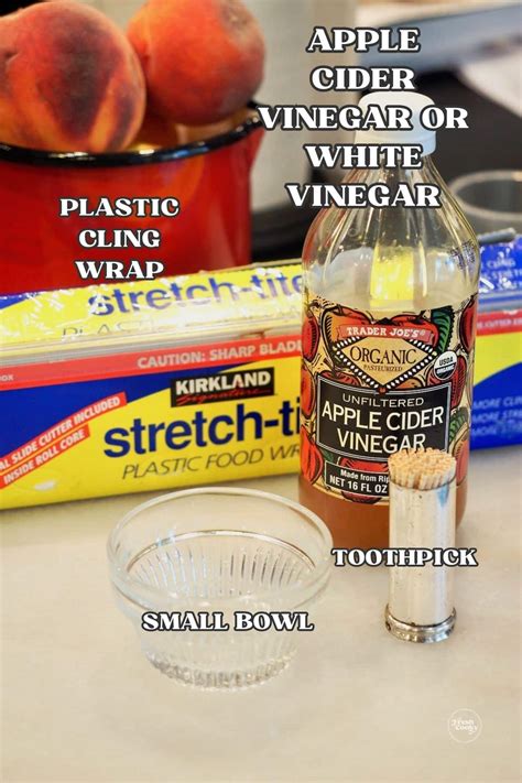 Fruit Fly Trap White Vinegar
